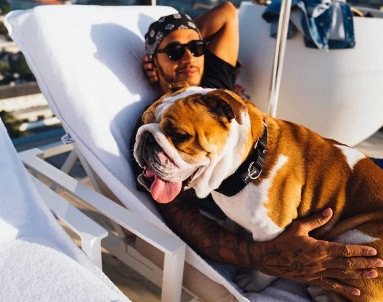 Lewis Hamilton piange la morte del suo cane: "Ho il cuore spezzato"