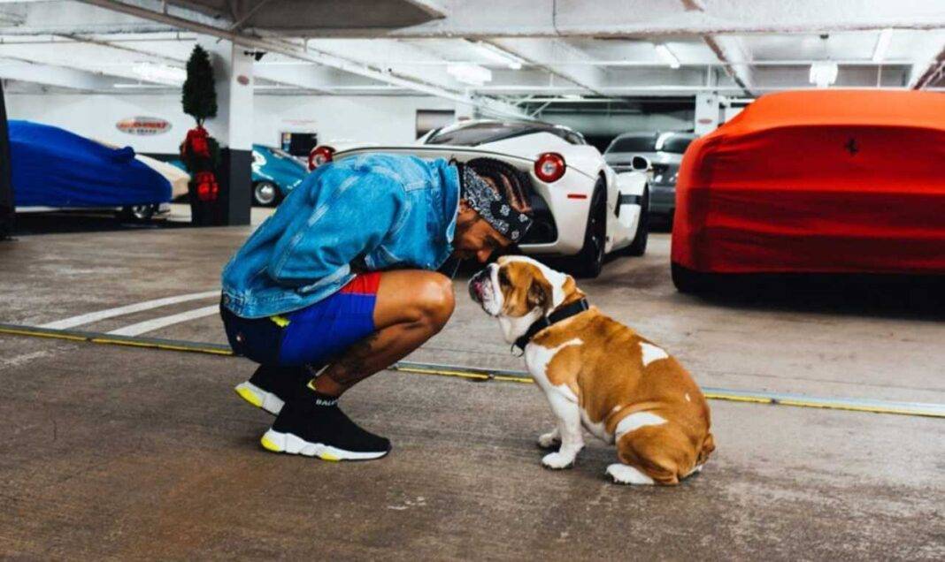 Lewis Hamilton piange la morte del suo cane: "Ho il cuore spezzato"